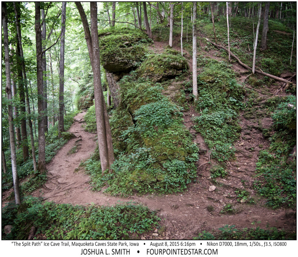 “The Split Path”