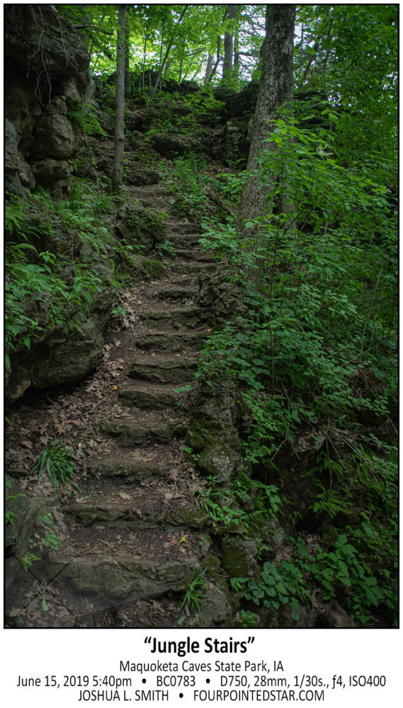 “Jungle Stairs”