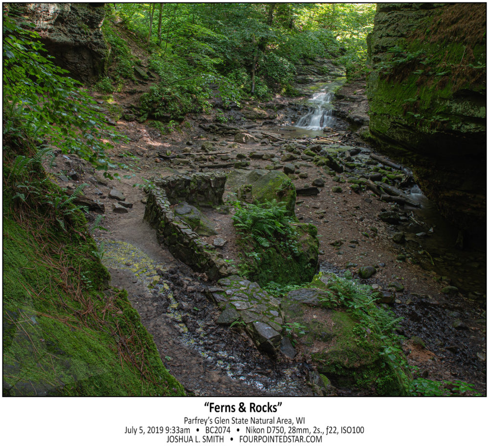 “Ferns & Rocks”