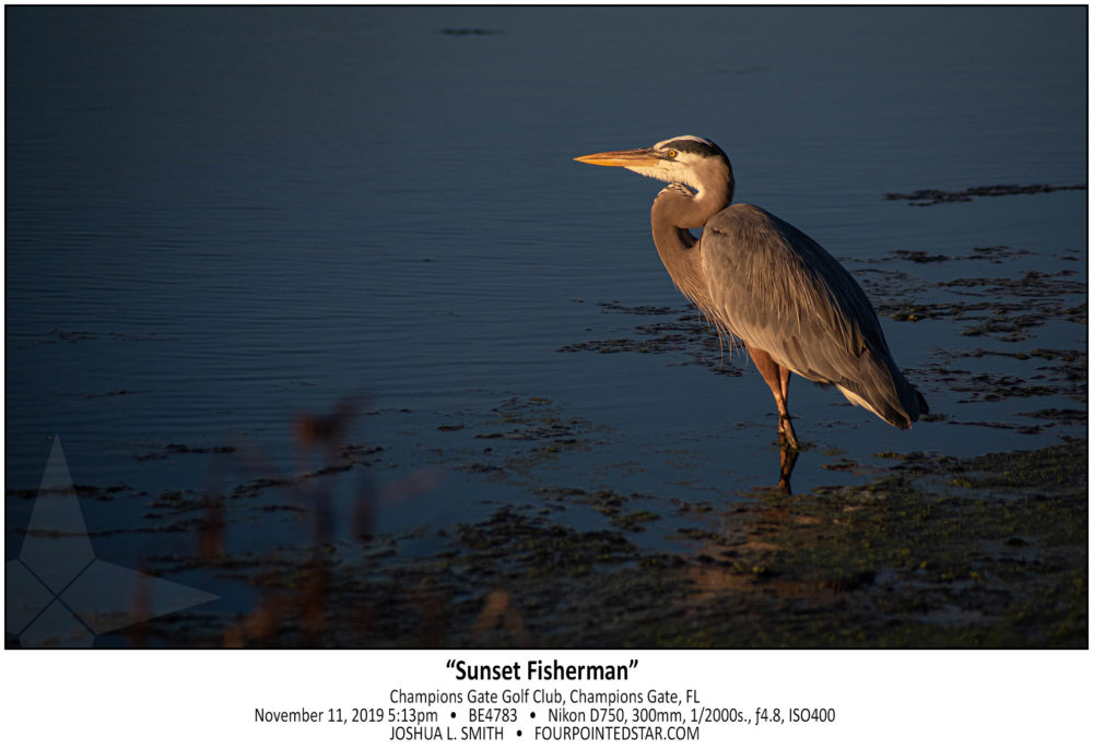 “Sunset Fisherman”