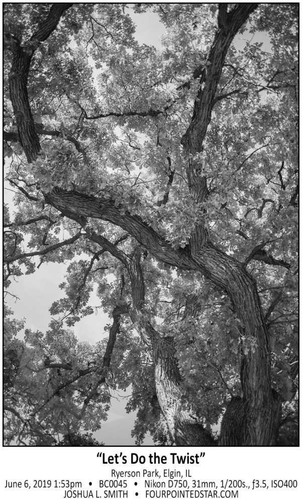 “Let’s Do the Twist”