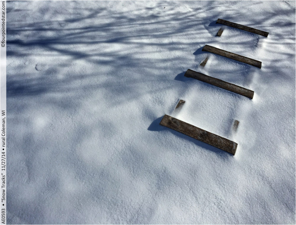 “Snow Tracks”